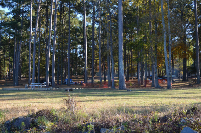 Brushy Creek Campground – Lake O' The Pines