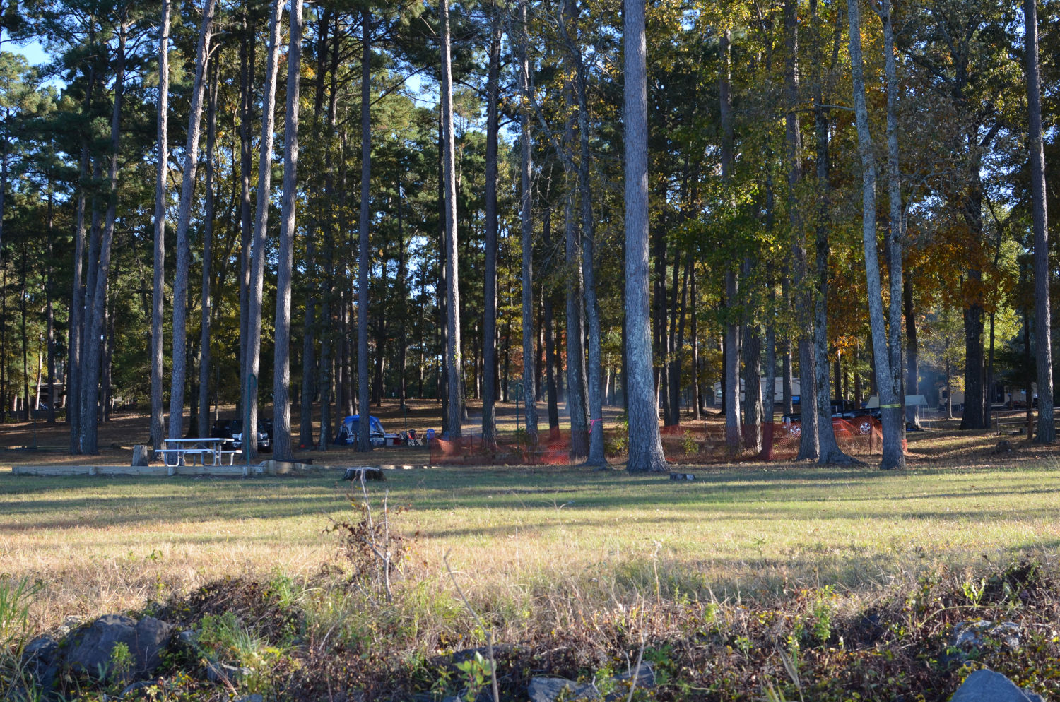 Brushy Creek Campground – Lake O' The Pines